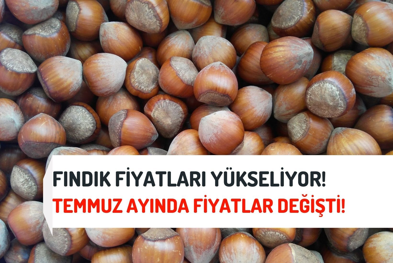 TEKNOLOJİ