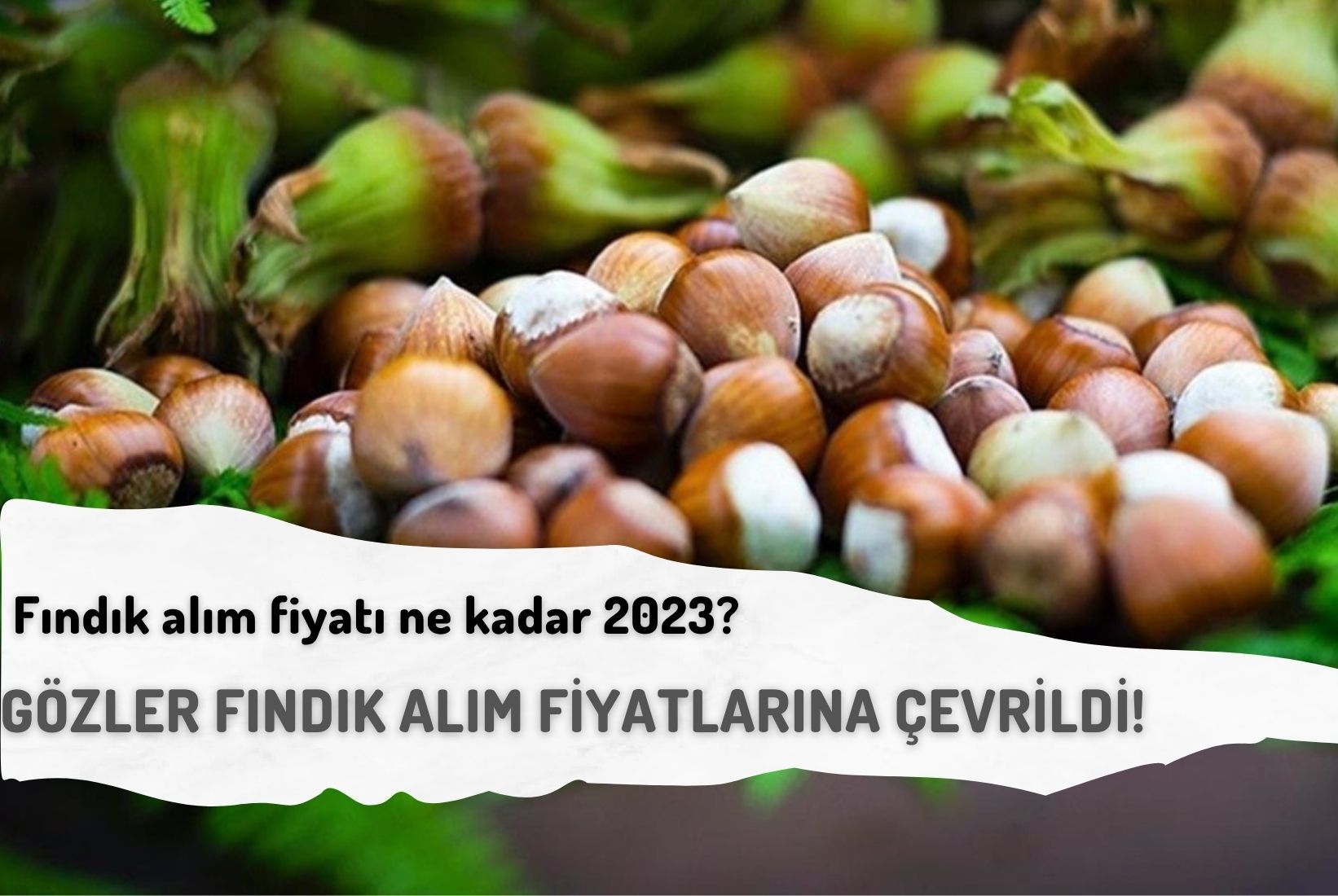 TEKNOLOJİ